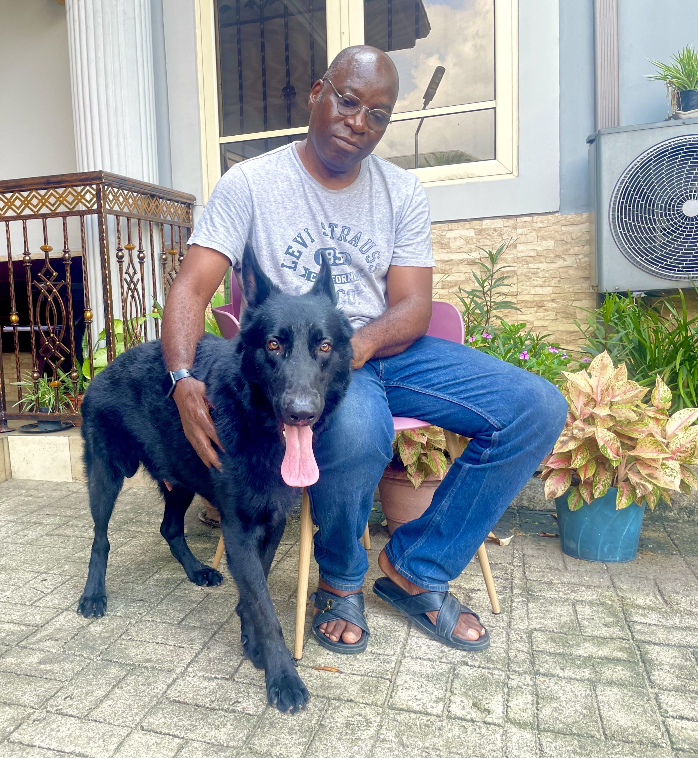 The Complete List of German Shepherd Dog Training Commands - Ole Dog ...